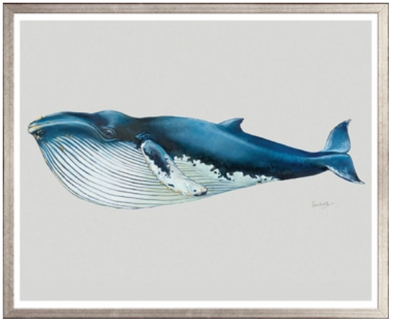 Blue Whale Designer Boys – Style My Home