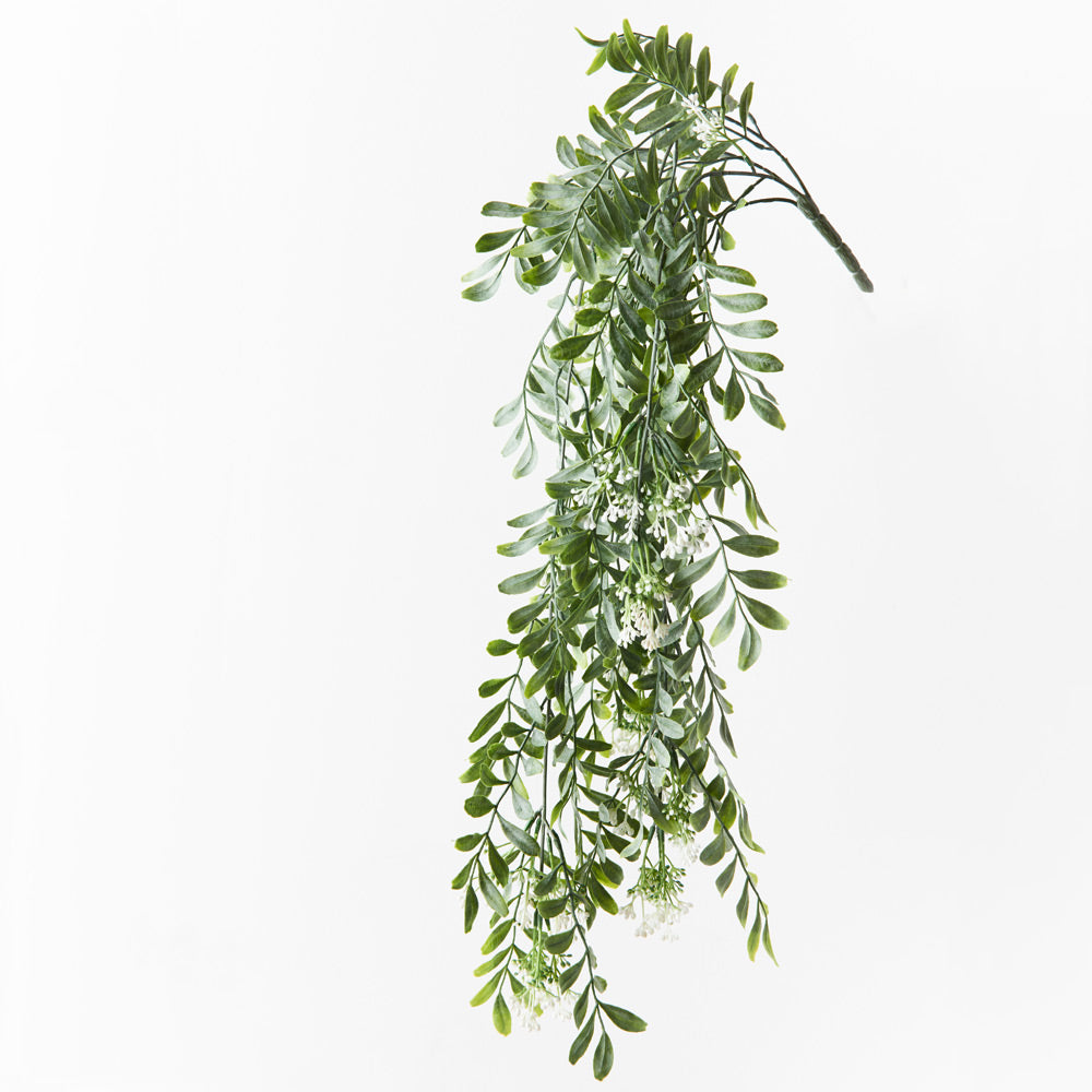 Buy Hamptons Locust Berry Hanging Bush